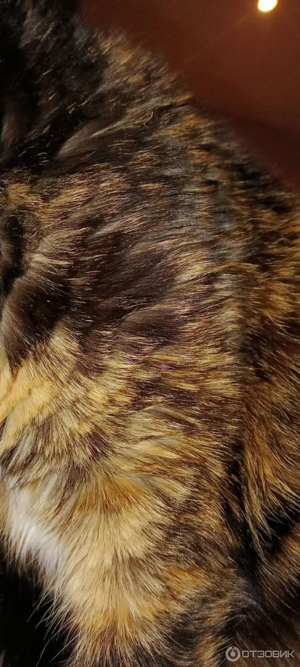 Отзыв о Смартфон Realme RMX3201 | Этот смартфон заставит поменять ...