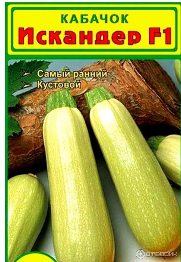 Отзыв о Семена Seminis "Кабачок Искандер" | Цена семян высока, но ...