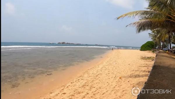 Отзыв о Пляж Хиккадува Шри Ланка Южная провинция Пляж с черепахами