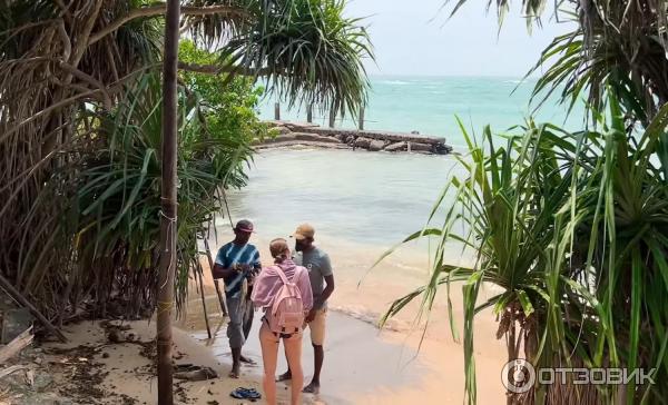 Отзыв о Пляж Хиккадува Шри Ланка Южная провинция Пляж с черепахами
