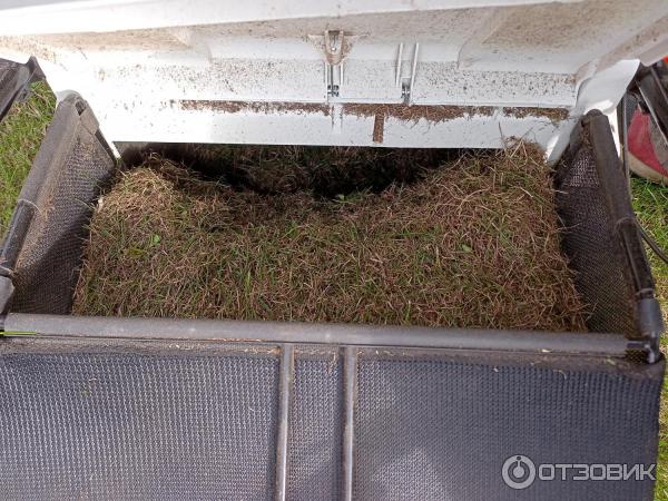 Отзыв о Скарификатор аккумуляторный DAEWOO DSC 3840Li | Скарификатор ...