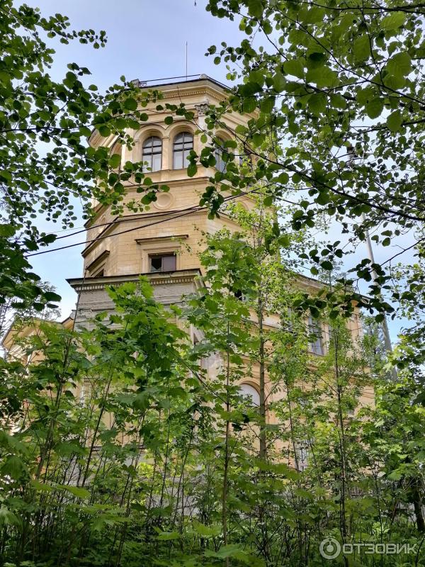 Отзыв о Экскурсия "Михайловская дача" от компании ХронЭкс (Россия ...