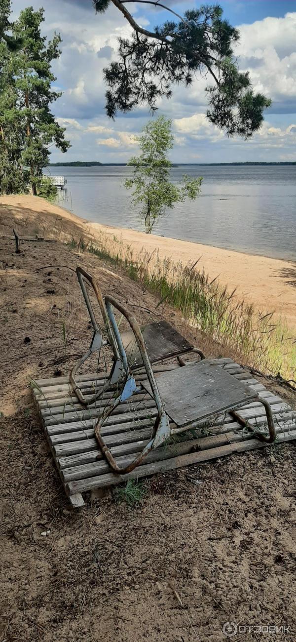 Отзыв о Отдых на реке Волга (Россия, Саратовская область) | Зеленая ...