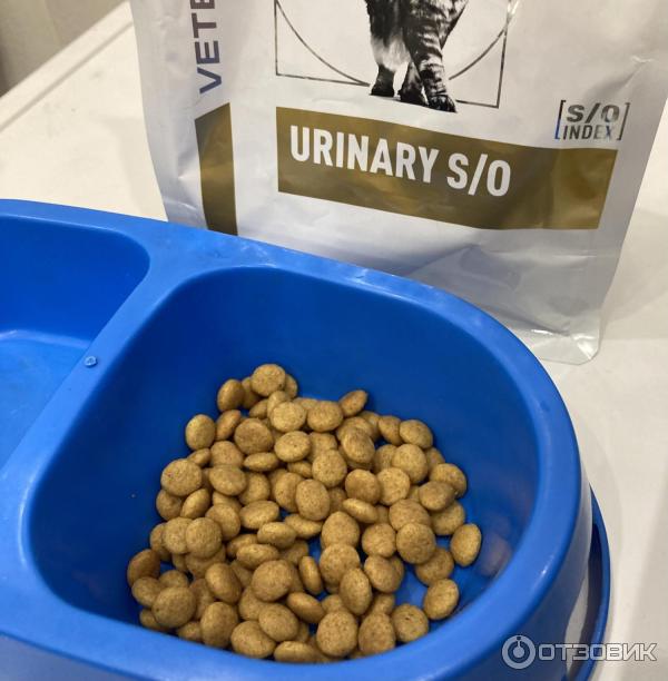 Отзыв о Сухой корм для кошек Royal Canin Urinary S/O | Помог кошек при ...