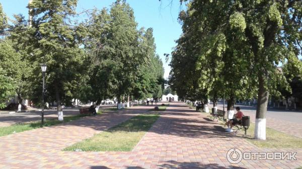 Отзыв о Экскурсия по г. Мичуринск (Россия, Тамбовская область) | Город ...