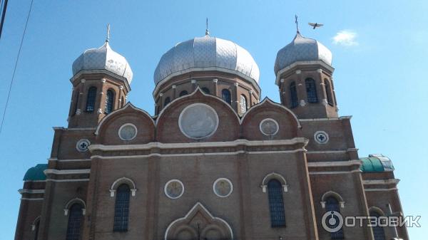 Отзыв о Экскурсия по г. Мичуринск (Россия, Тамбовская область) | Город ...