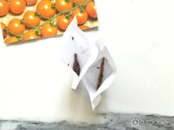 Отзыв о Семена томата черри Гавриш "Вишня красная" | Для детей, салатов ...