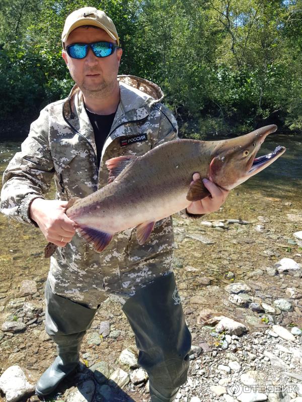 Отзыв о Отдых на острове Сахалин (Россия, Сахалинская область ...