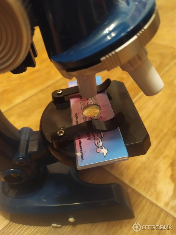 Отзыв о Микроскоп детский Microscope Educational microscope series ...