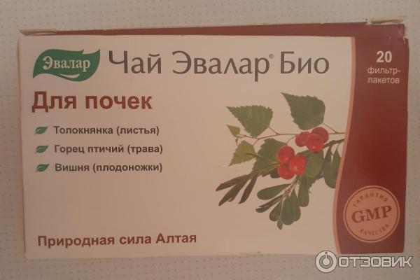 Отзыв о Чай Эвалар Био "Для почек" | Улучшает деятельность почек ...