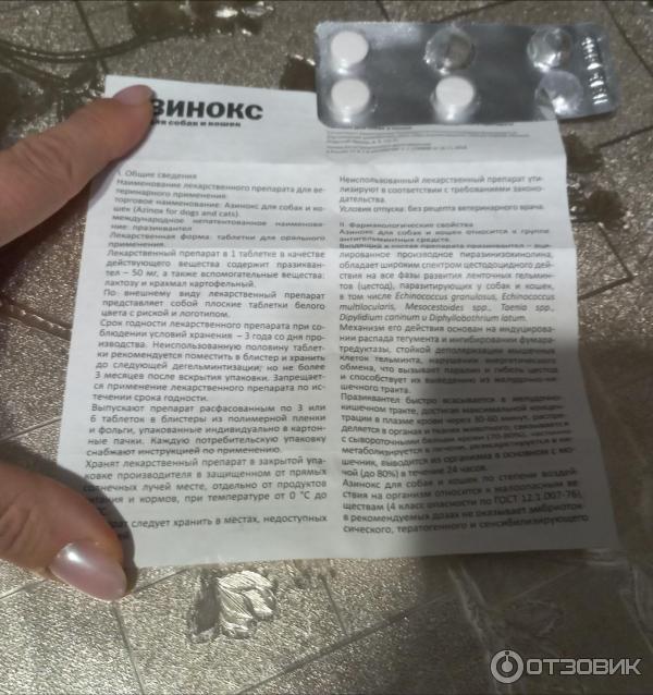 Отзыв о Антигельминтик Азинокс для собак и кошек | Помог не всем кошкам.