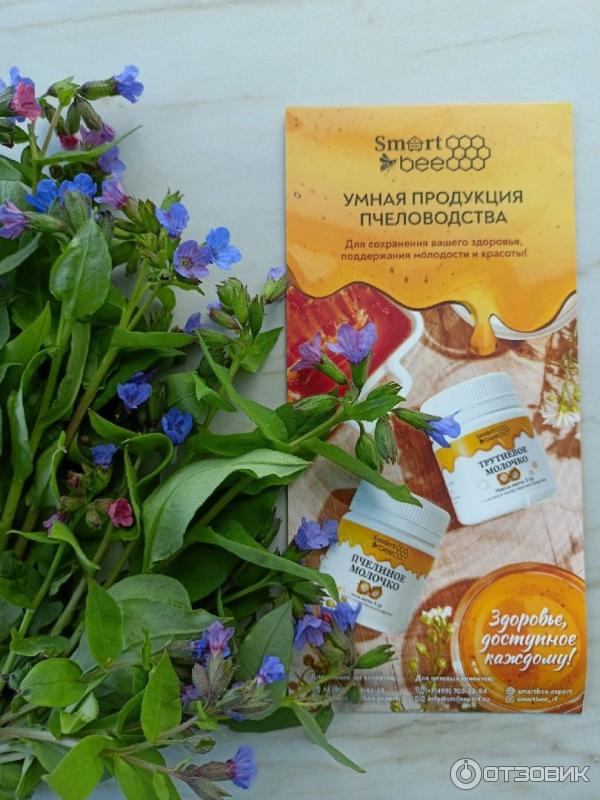 Отзыв о Антивирусный медовый концентрат Smart Bee | В борьбе за крепкий ...