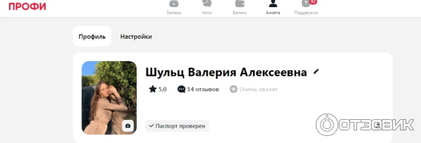 Отзыв о Profi.ru - сервис по подбору специалистов | Аналогов сервису я не вижу